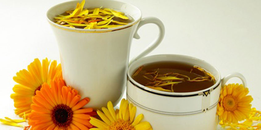 Caléndula la planta medicinal para infusiónes y para la piel